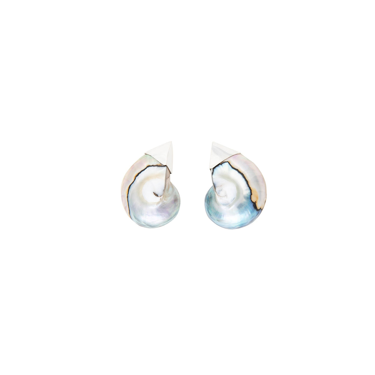 Blue Nautilus Shells – MERA MERAH